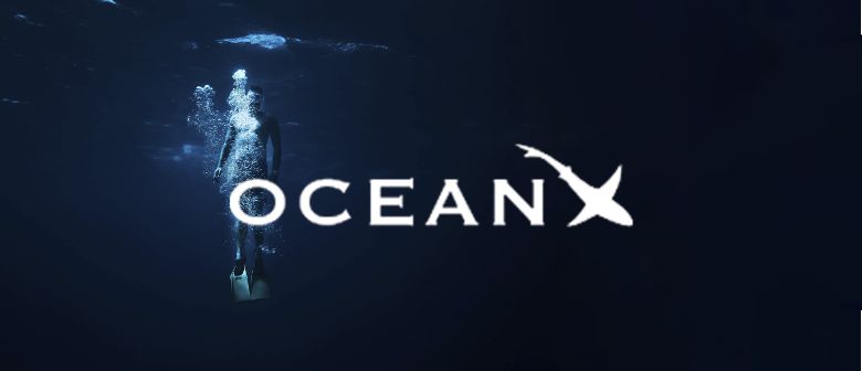 OceanX Uhren | Große Auswahl & günstige Preise - Ditur